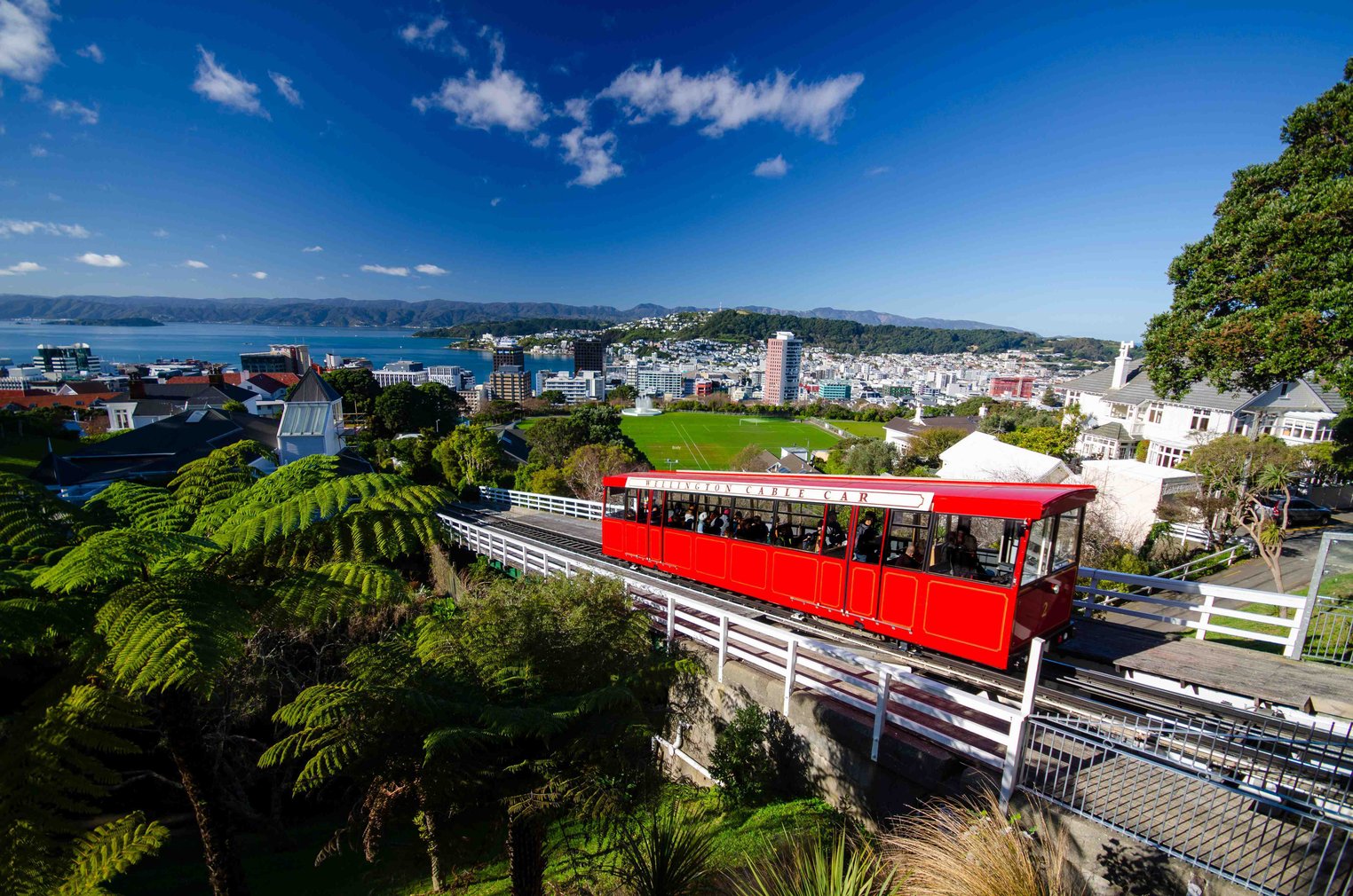 Wellington - Moa Point | New Zealand | Cambi Customer Story